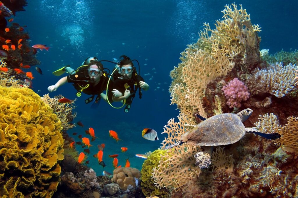 Cuba’s incredible coral reef - Love Cuba Blog
