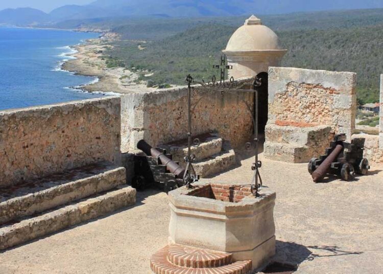 Cuban Flora: A Guide to the Greener Side of Cuba - Love Cuba Blog