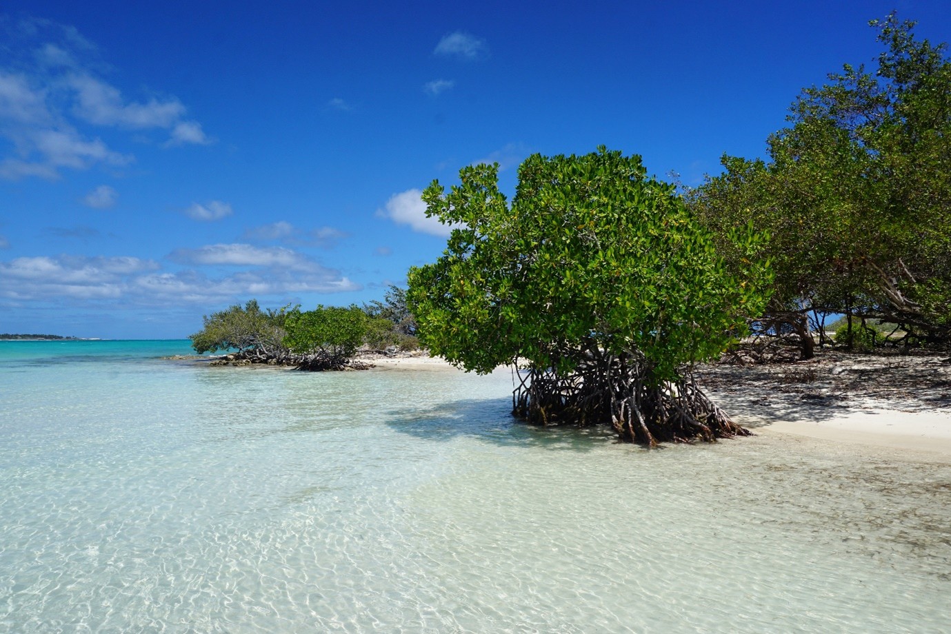 Welcome to Cayo Guillermo: Your Slice of Paradise in Cuba - Love Cuba Blog